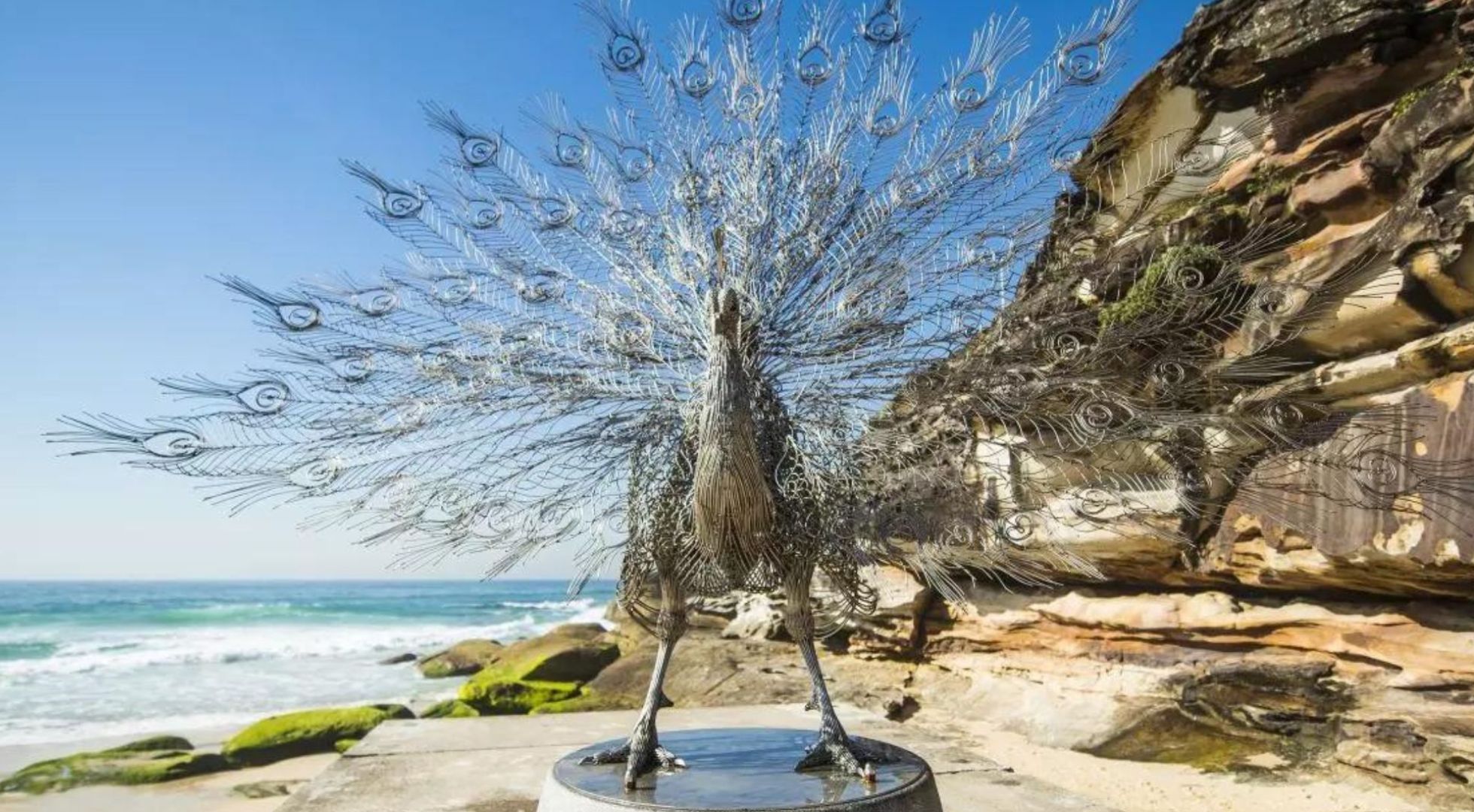 Summer In Sydney 10 Fantastic Things To Do In The Sun Holiday Tours Summer In Sydney 10 Fantastic Things To Do In The Sun Holiday Tours