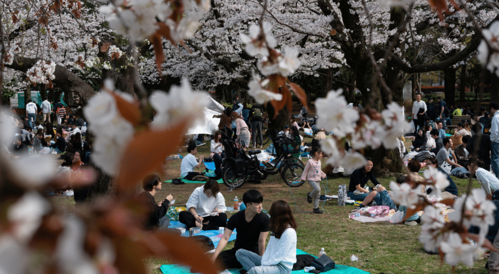 Discover Japan's Vibrant Spring Festivals: Top 5 Must-Visit Events In ...