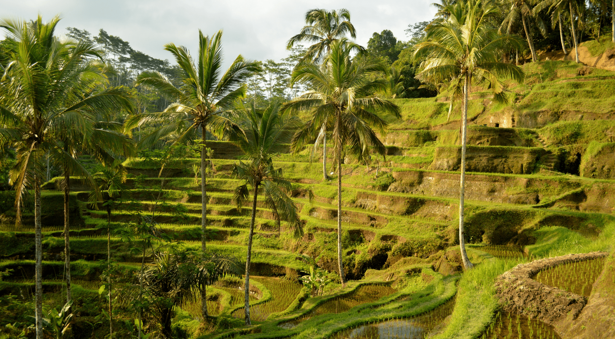 Discovering Bali Beyond Kuta: Top 4 Areas To Stay At | Holiday Tours ...