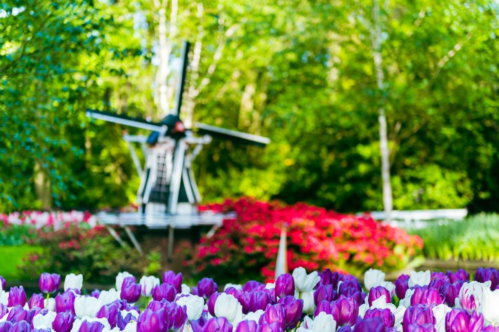 The Most Unforgettable Spring Festivals Worth Travelling For In 2026 ...
